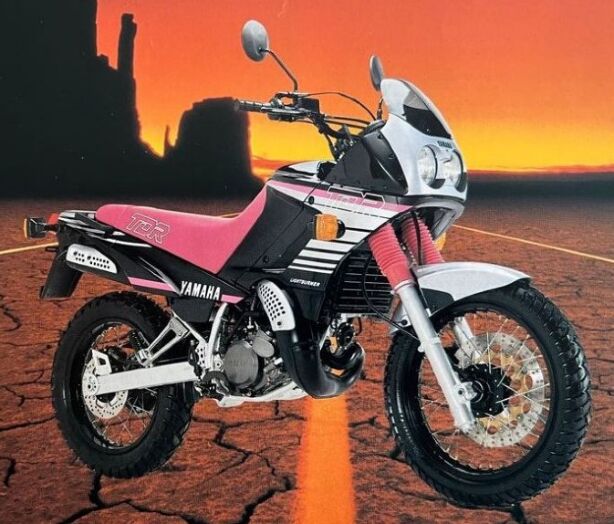 Yamaha TDR 125 alle Baujahre bis 2003 - Technische Daten